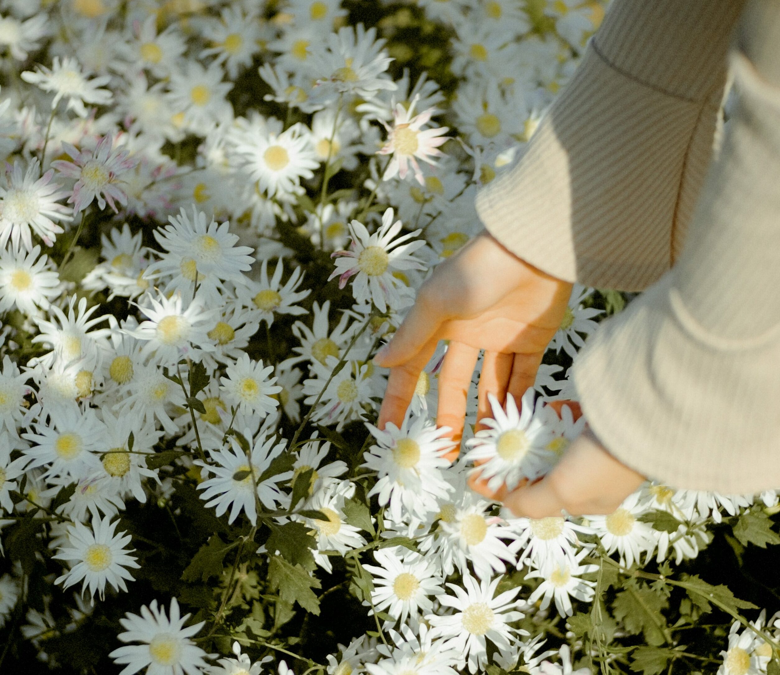 14 x Leuke lente activiteiten voor volwassenen | GIRLS WHO MAGAZINE