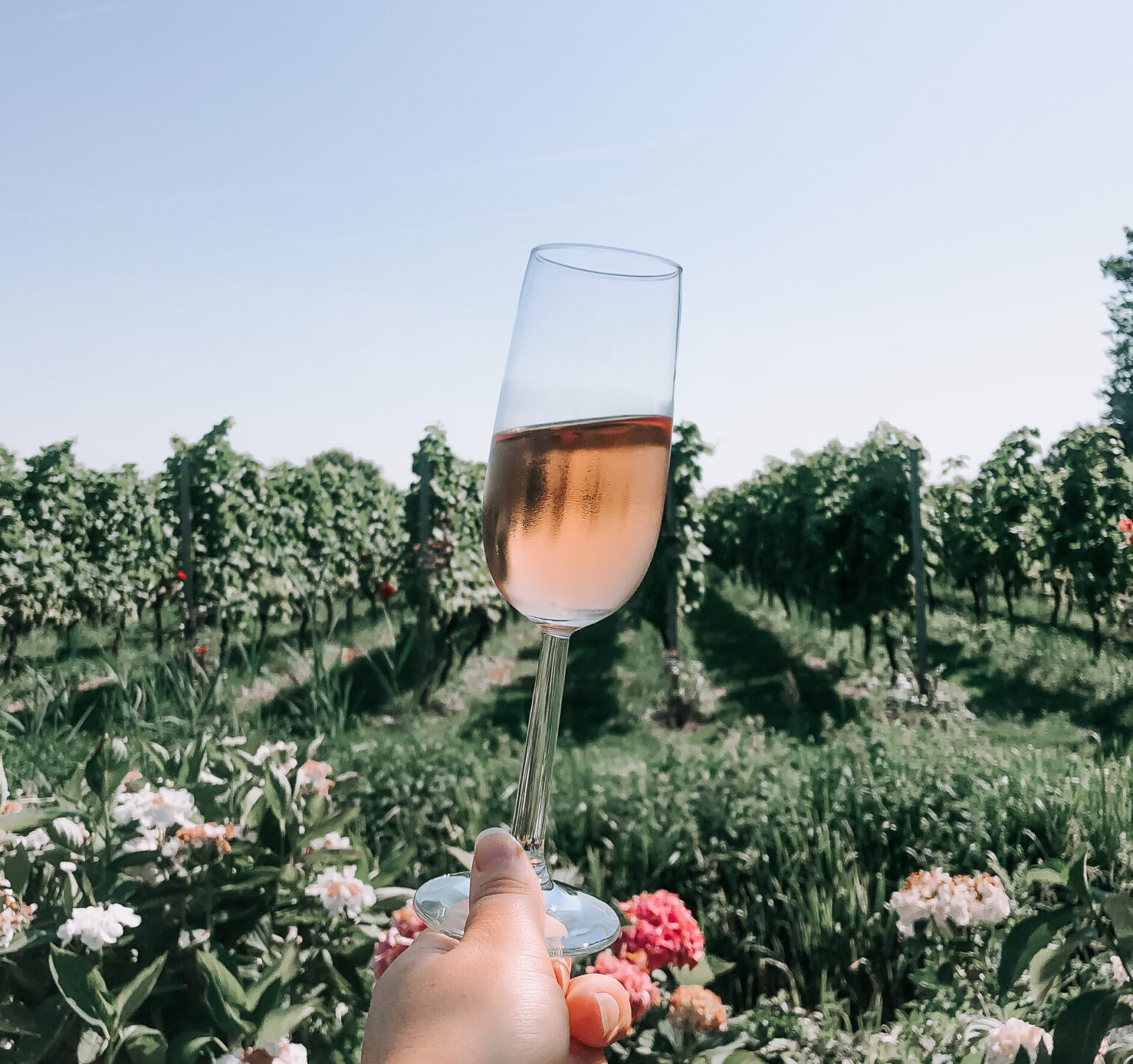 Tip: Terrassen in Wijngaard de Amsteltuin (Amstelveen) | GIRLS WHO