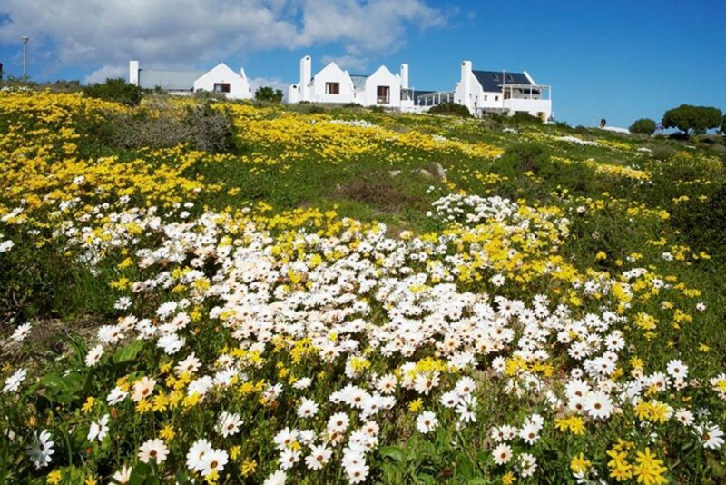 Wat te doen in Paternoster? Hotspots hotels & to do's