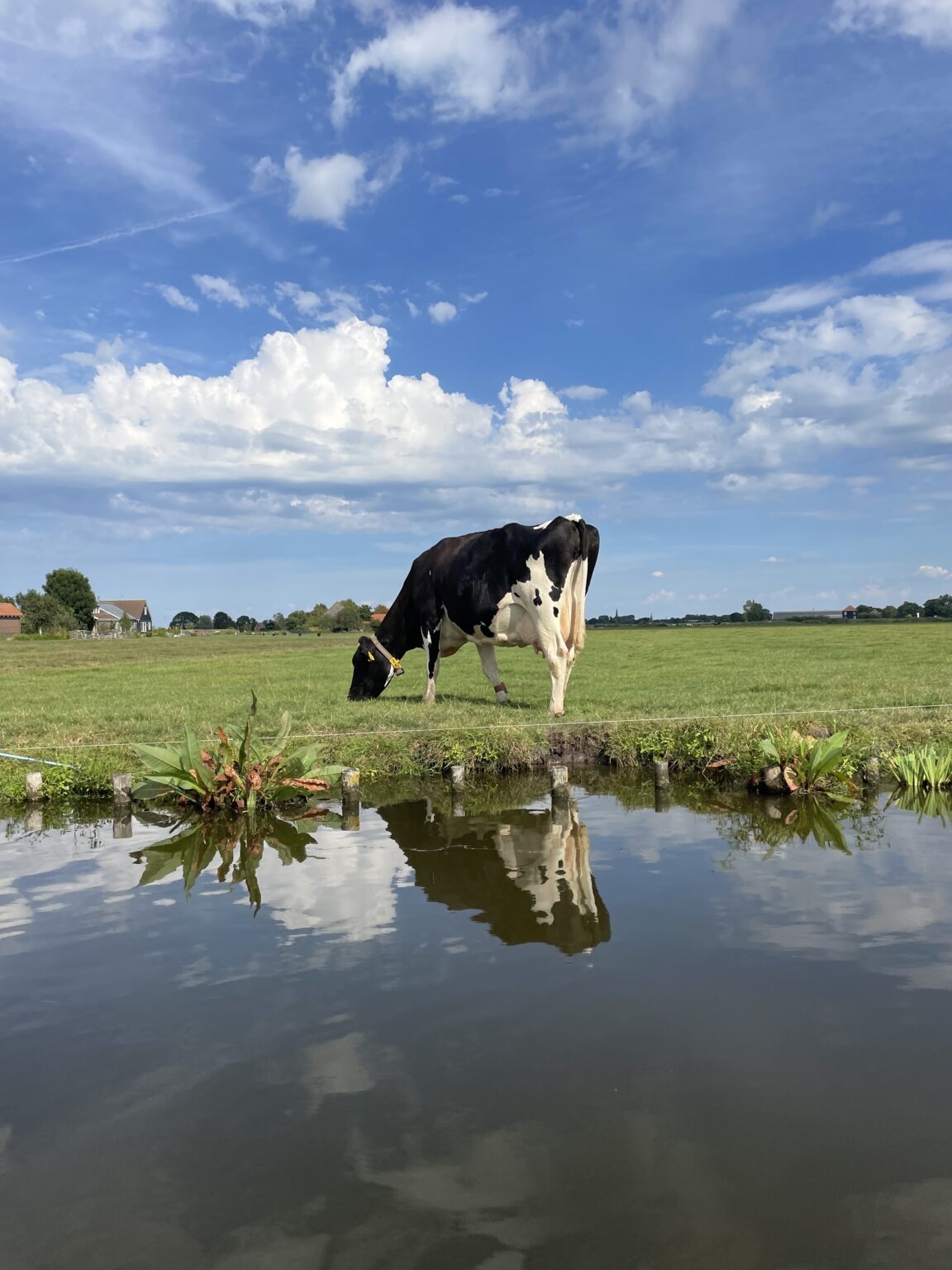 Tip: Fluisterbootje met picknick bij Theetuin Overleek | GIRLS WHO