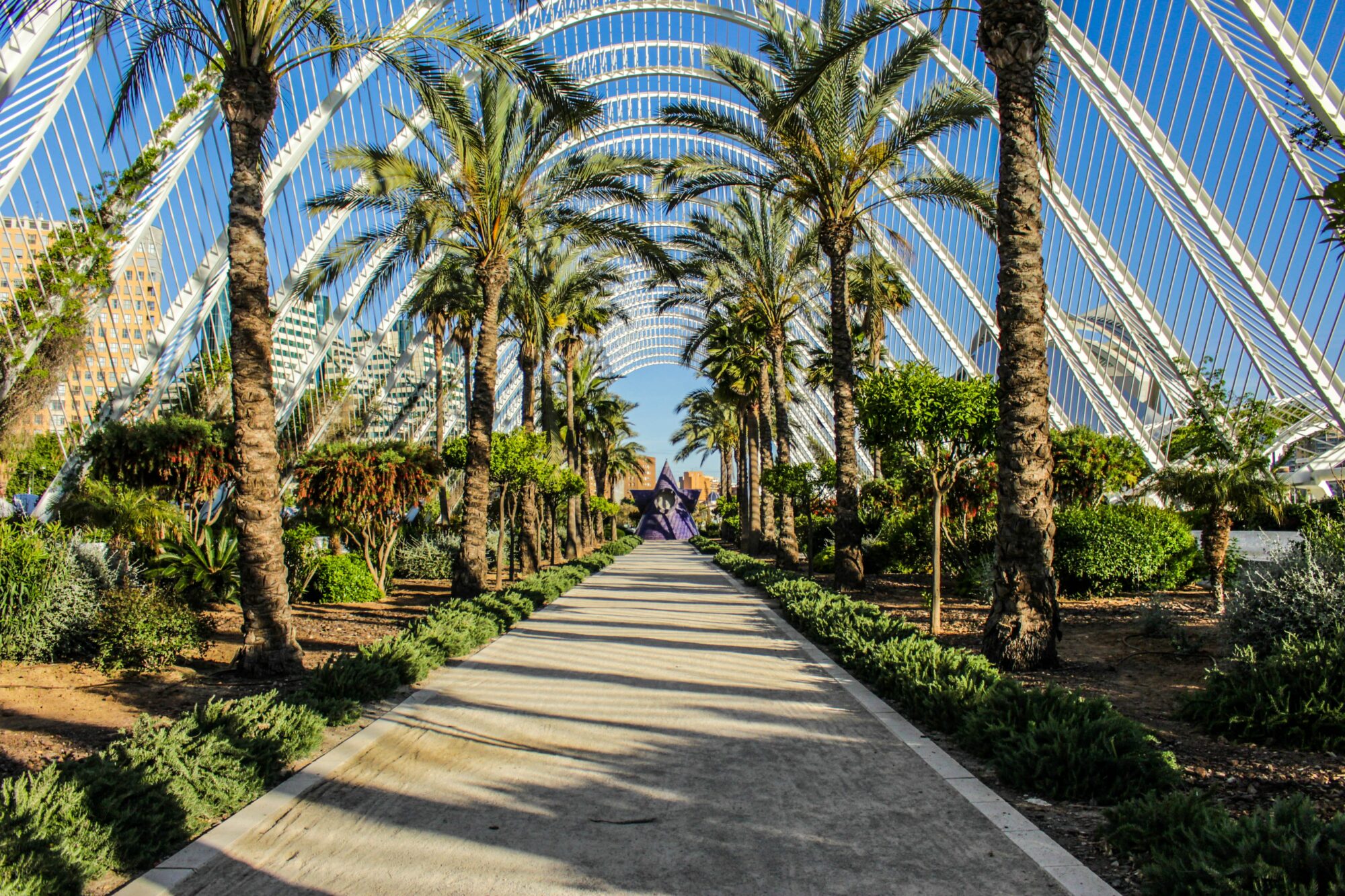 10 x Hotspots in Valencia | GIRLS WHO MAGAZINE